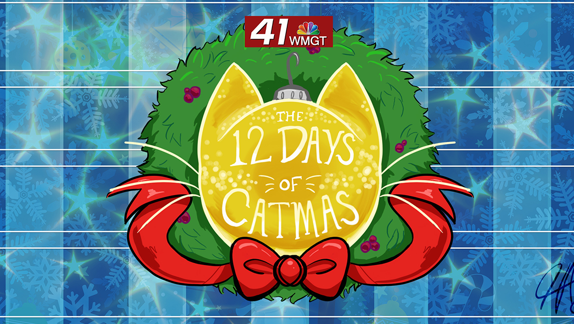 41NBC's 12 Days of "Catmas" returns - 41NBC News | WMGT-DT