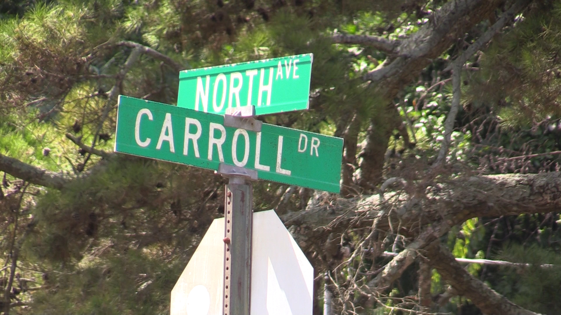 Warner Robins police investigating shooting on Carroll Drive - 41NBC ...