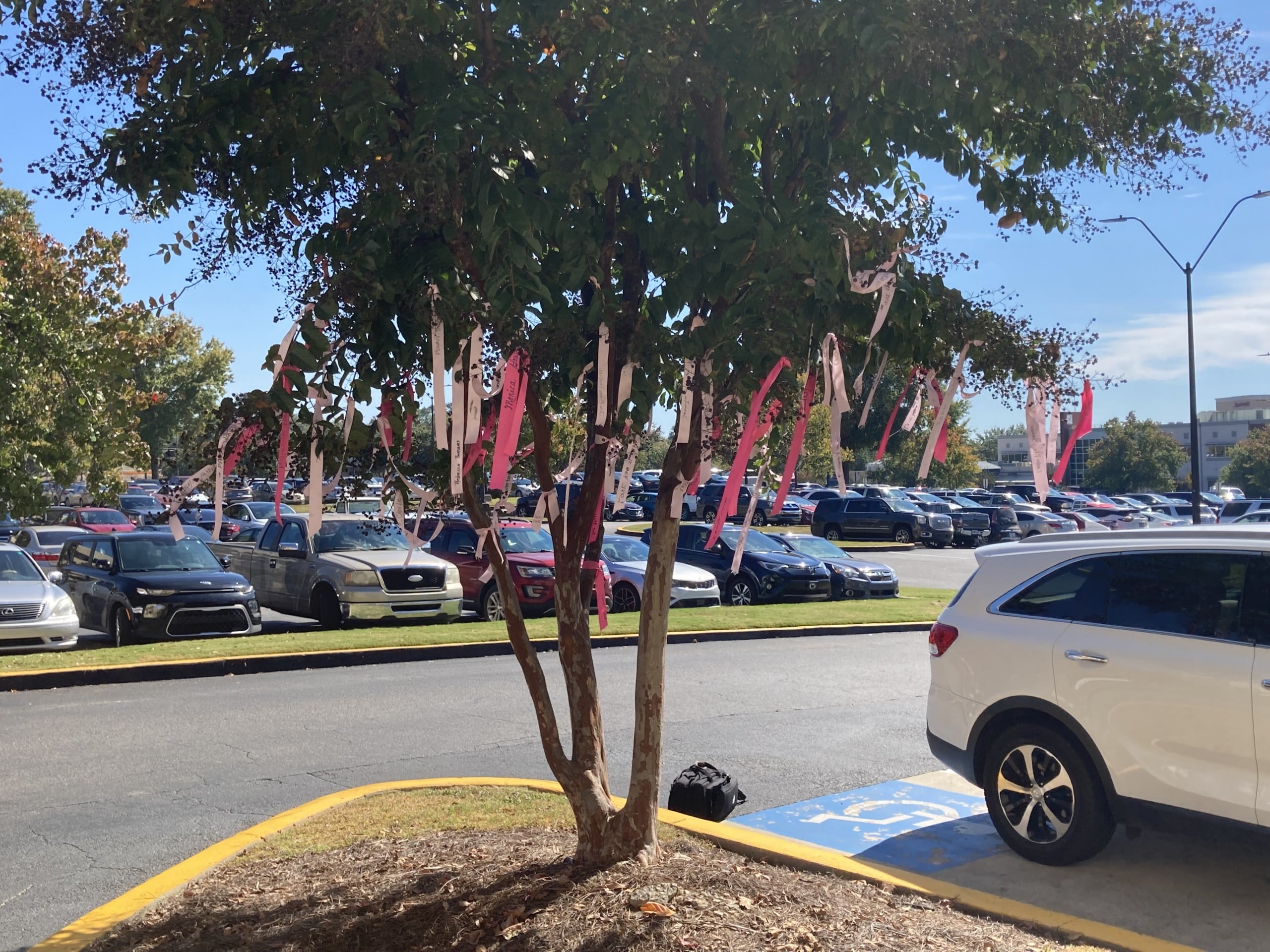 Piedmont Macon Medical Center pays tribute to breast cancer survivors