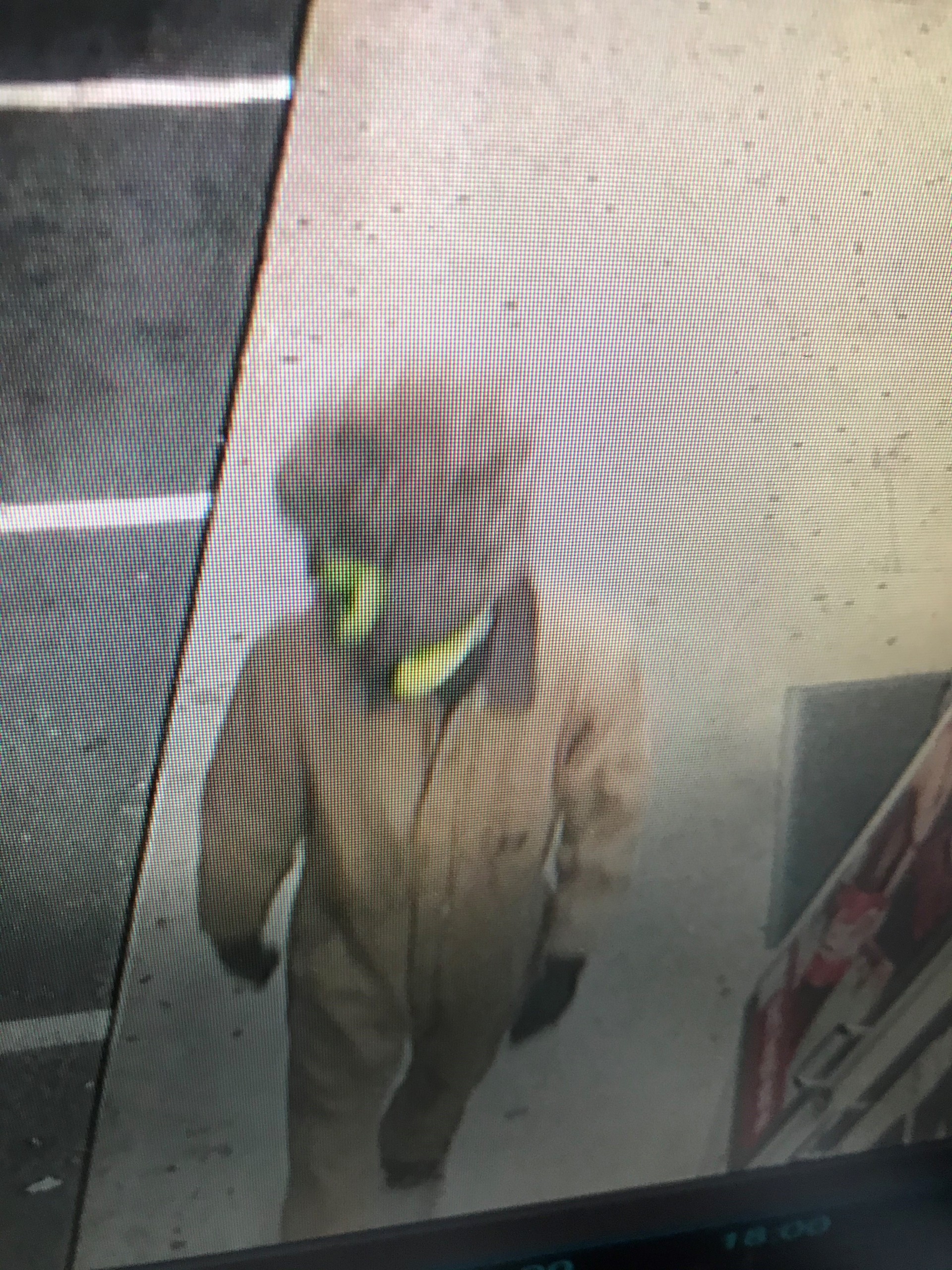 Armed robbery at Citgo on Bloomfield - 41NBC News | WMGT-DT