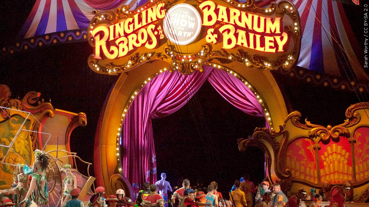 Ringling Bros. announces comeback tour without animal acts - 41NBC News ...