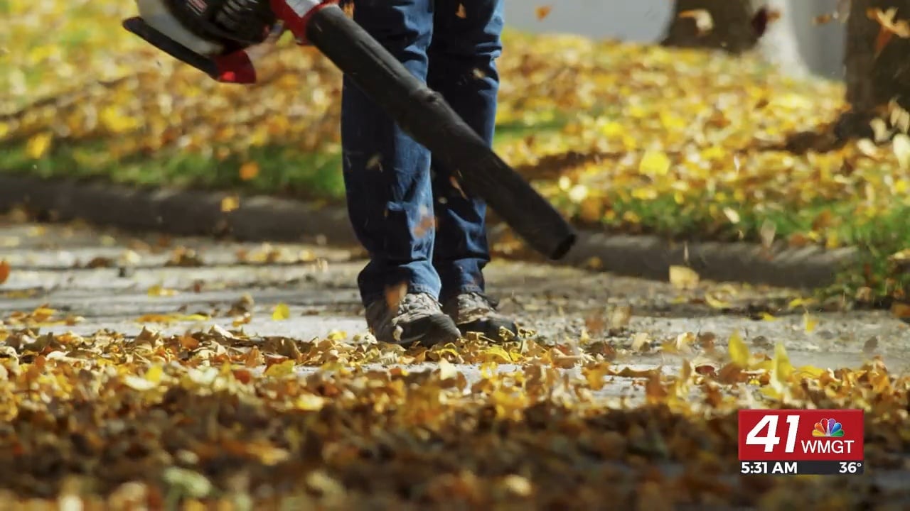 Ask Angi: Fall Landscaping - 41NBC News | WMGT-DT