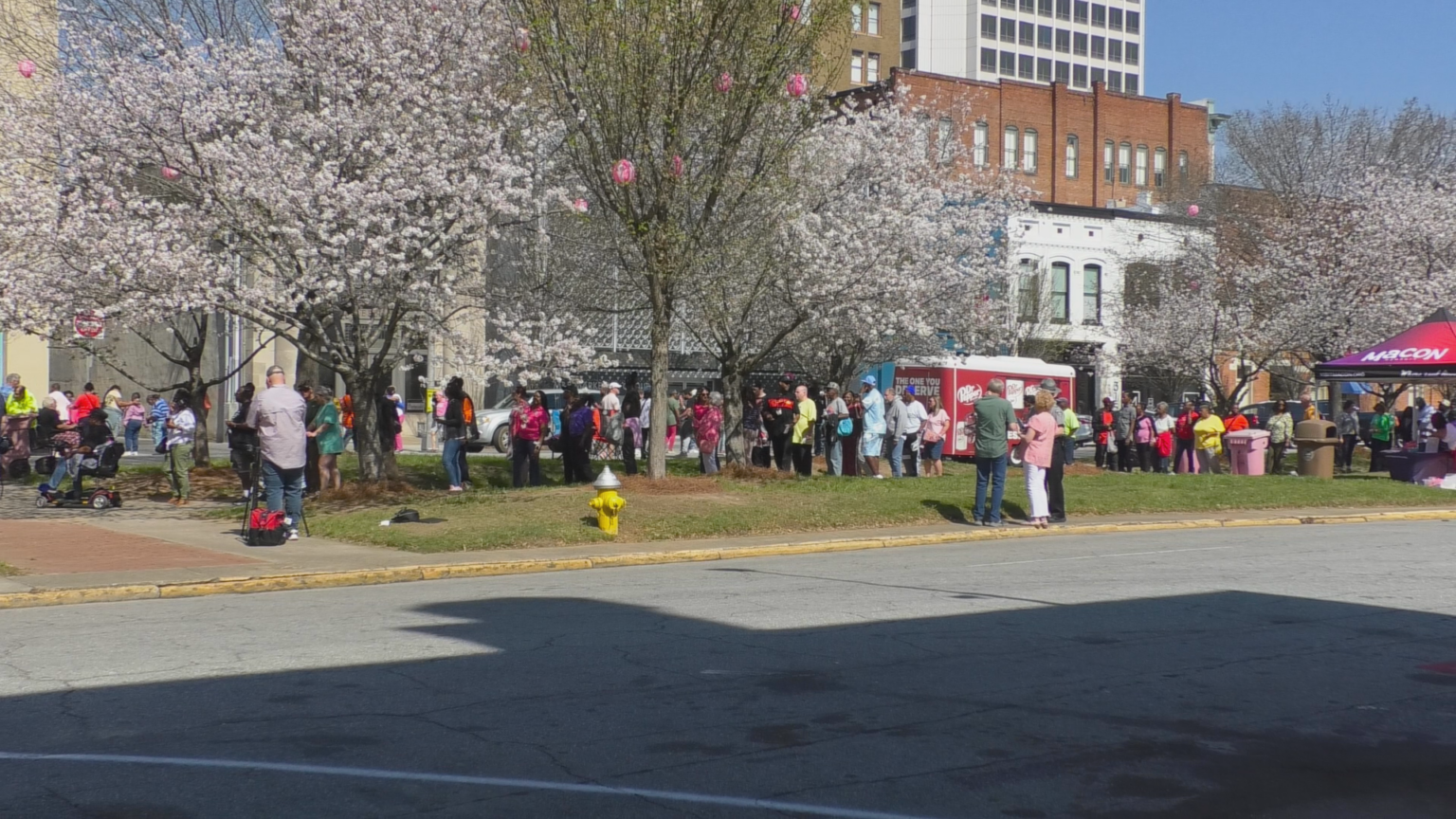 Cherry Blossom Festival continues with Heroes Day, concerts in Macon ...