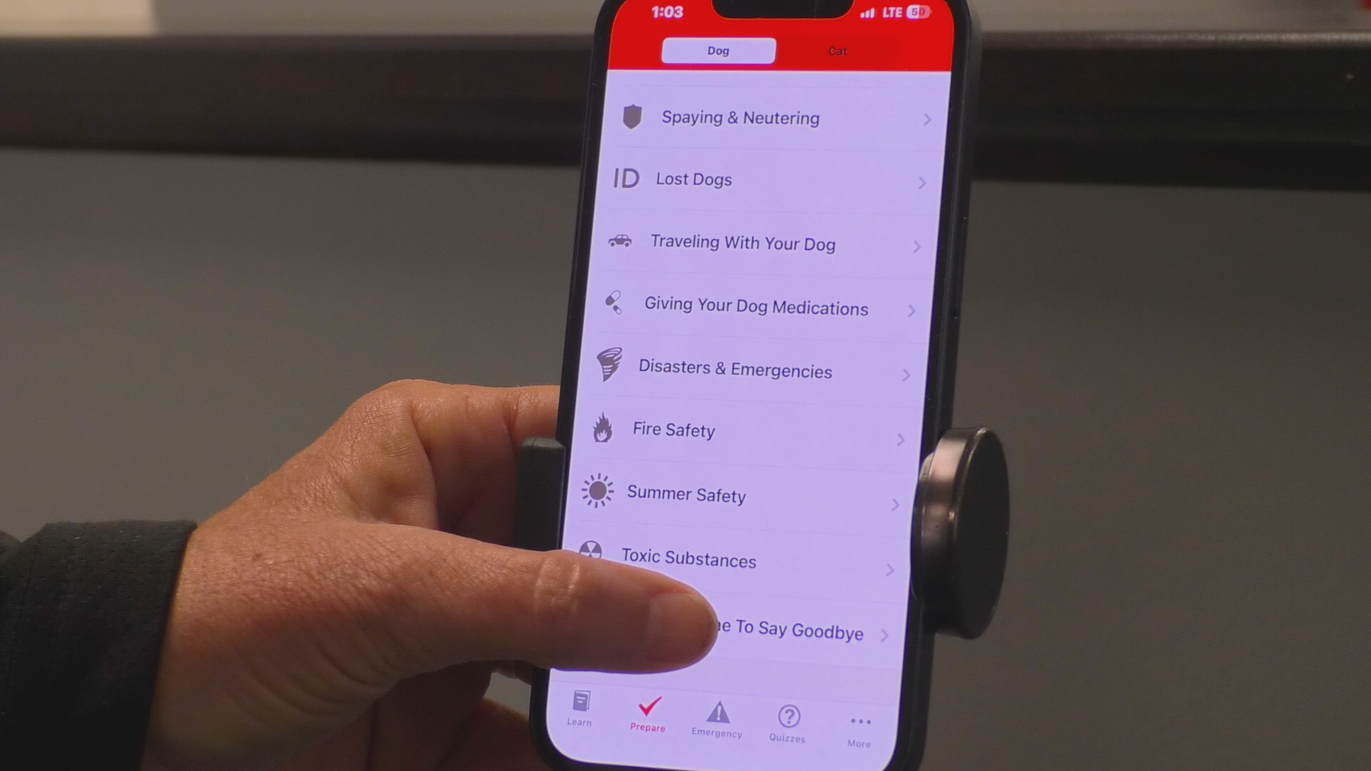 Red Cross urges pet owners to download free emergency app - 41NBC News ...