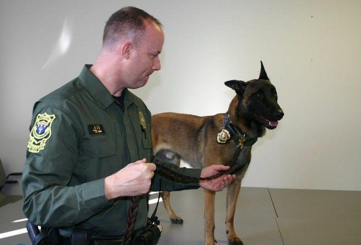 Rhode Island DEM gets newly trained police dog