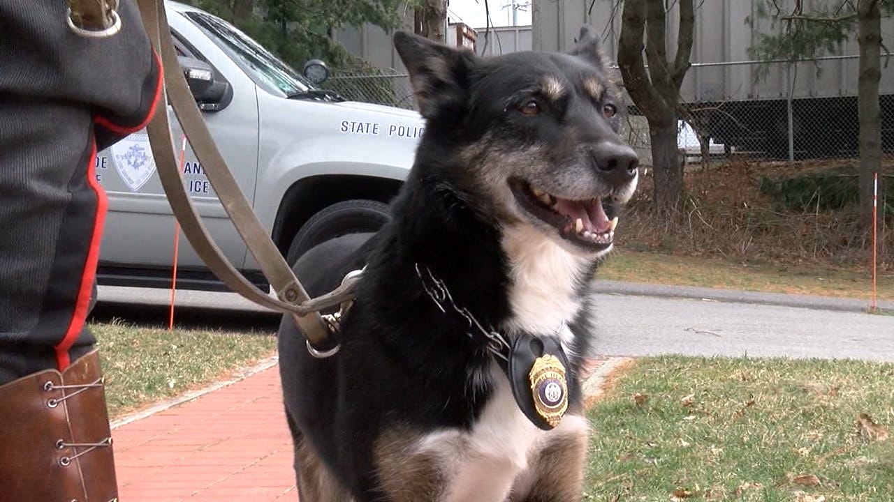 State Police confirm K-9 Ruby has been found