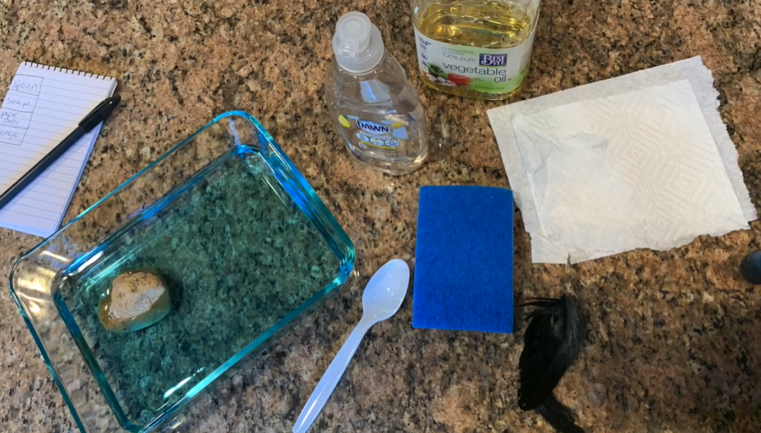 Learn to Clean an Oil Spill this Earth Day | ABC6