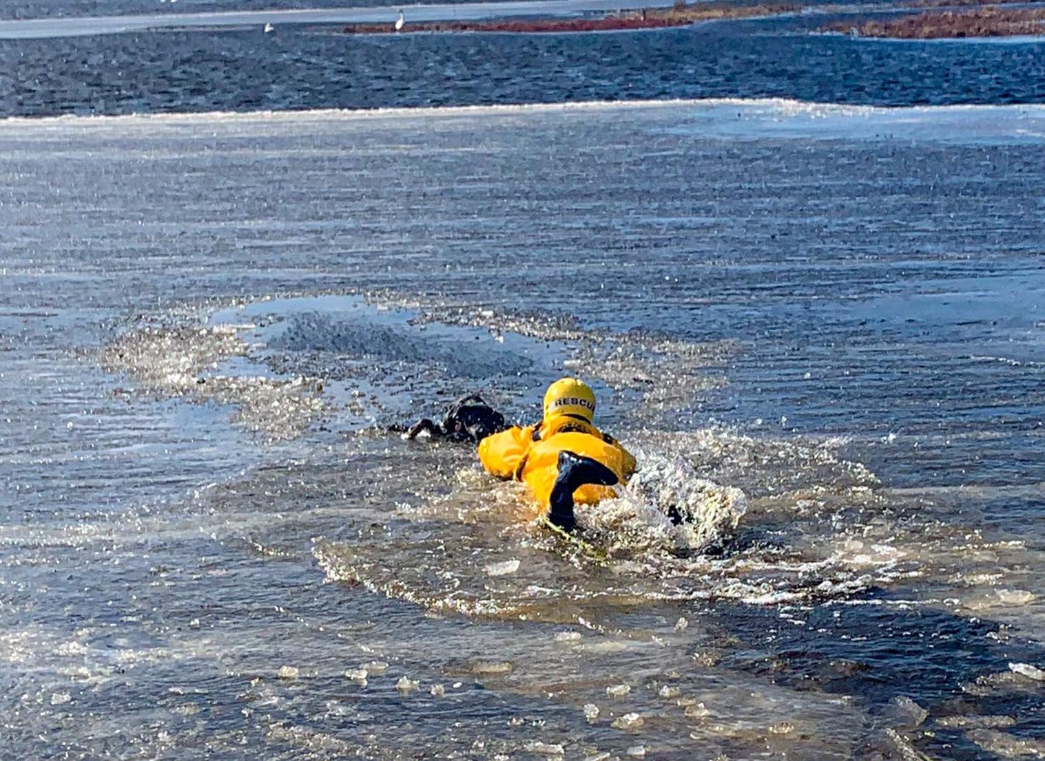 Hanson firefighters rescue dog from frozen pond | ABC6