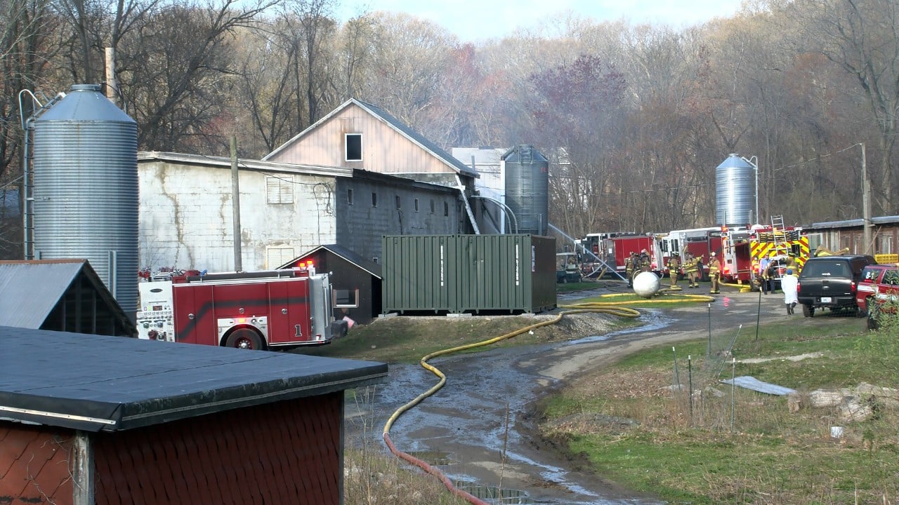 3,000 chickens lost after fire at Johnston poultry farm | ABC6