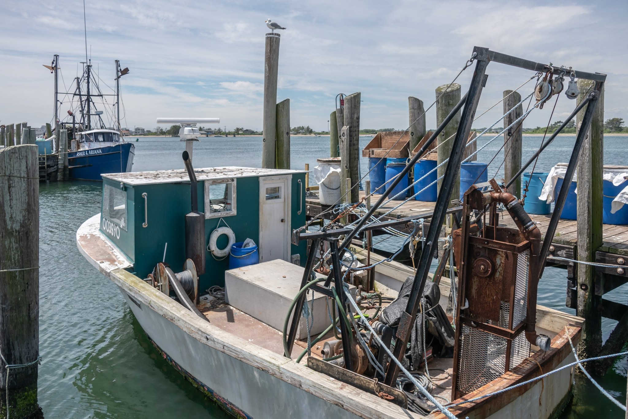 Gov. McKee makes Quahog Week proclamation, lower Providence River to ...