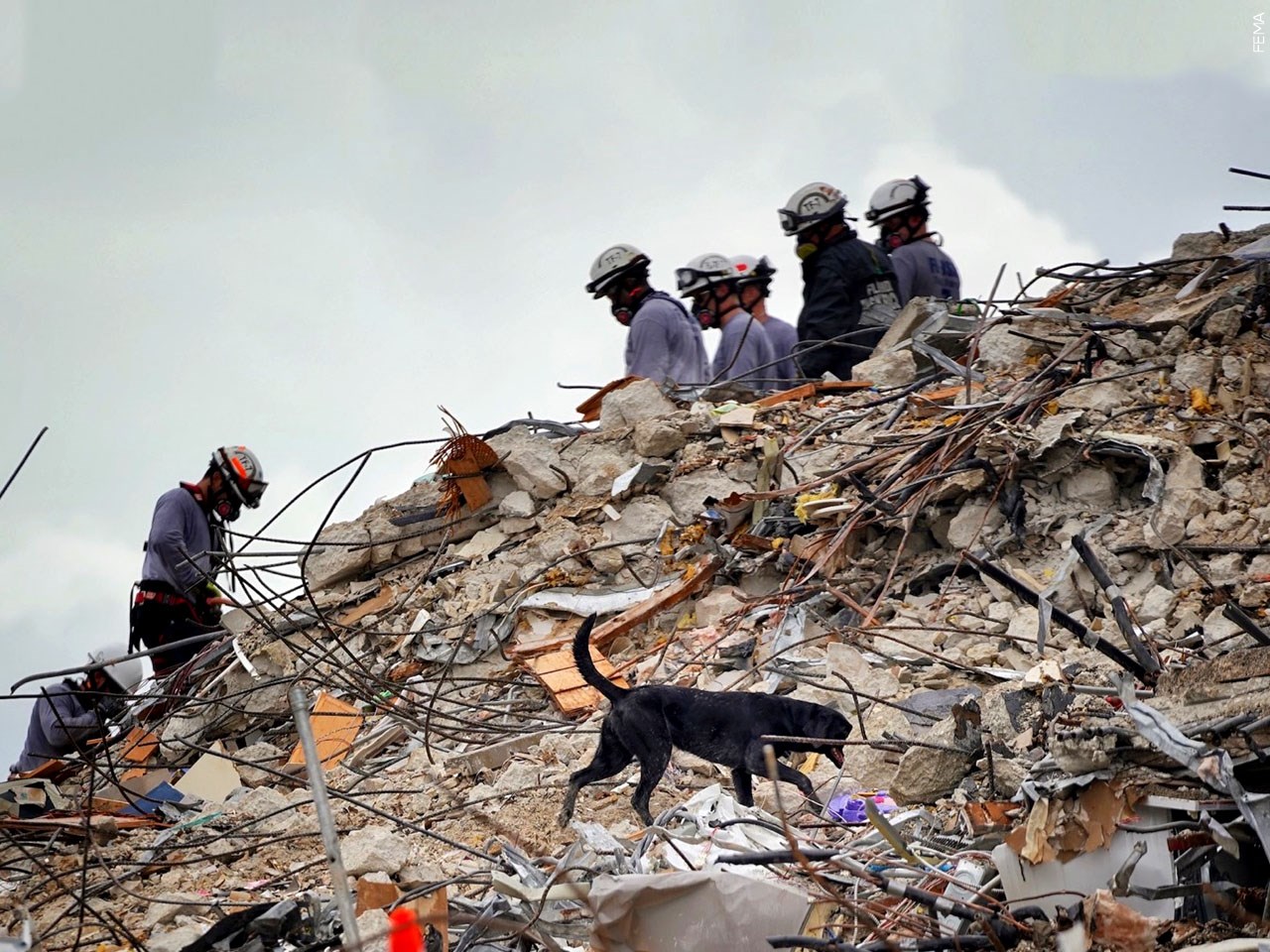 Final Surfside building collapse victim is identified | ABC6