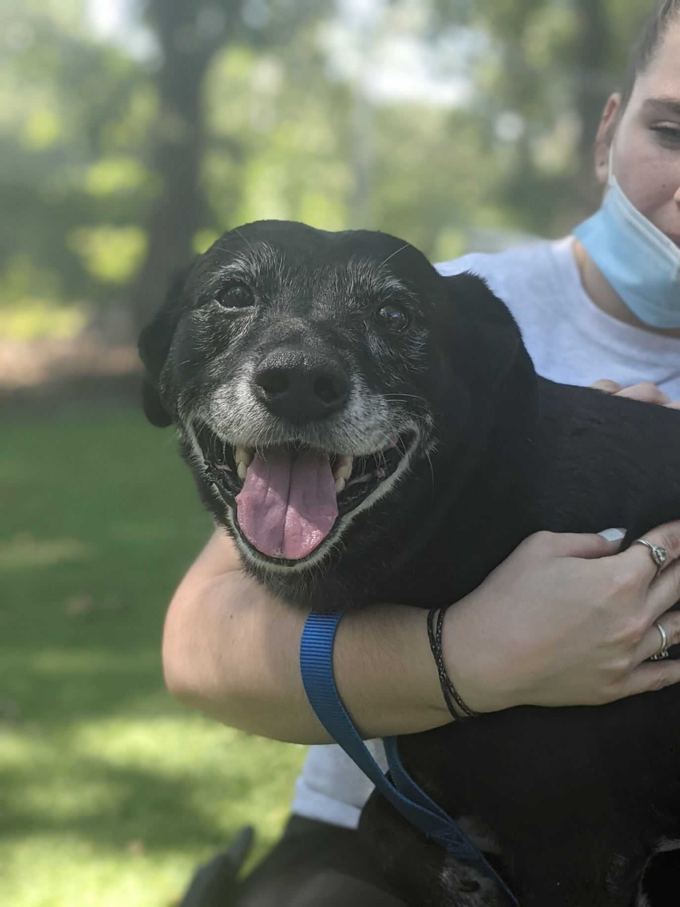 Pick of the Litter: Meet Marvin! | ABC6