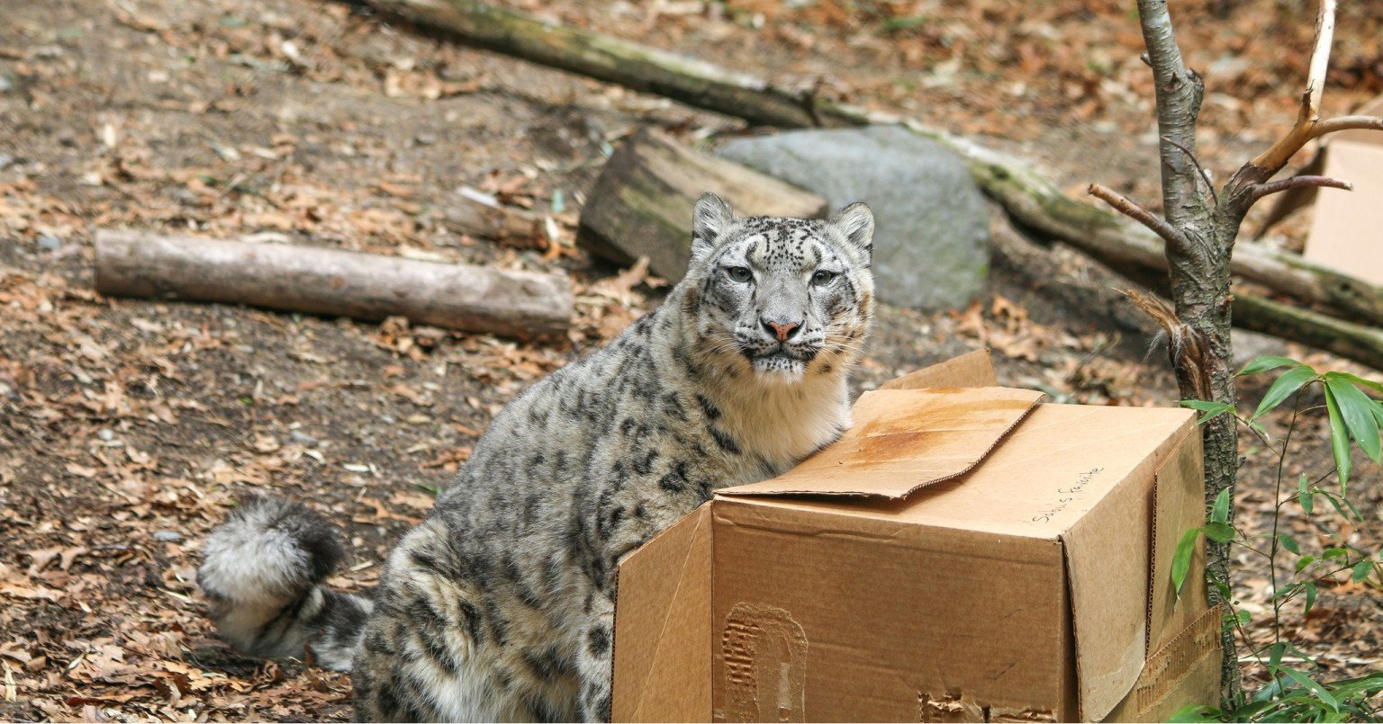 Roger Williams Park Zoo makes list of top 26 best zoos in the country ...