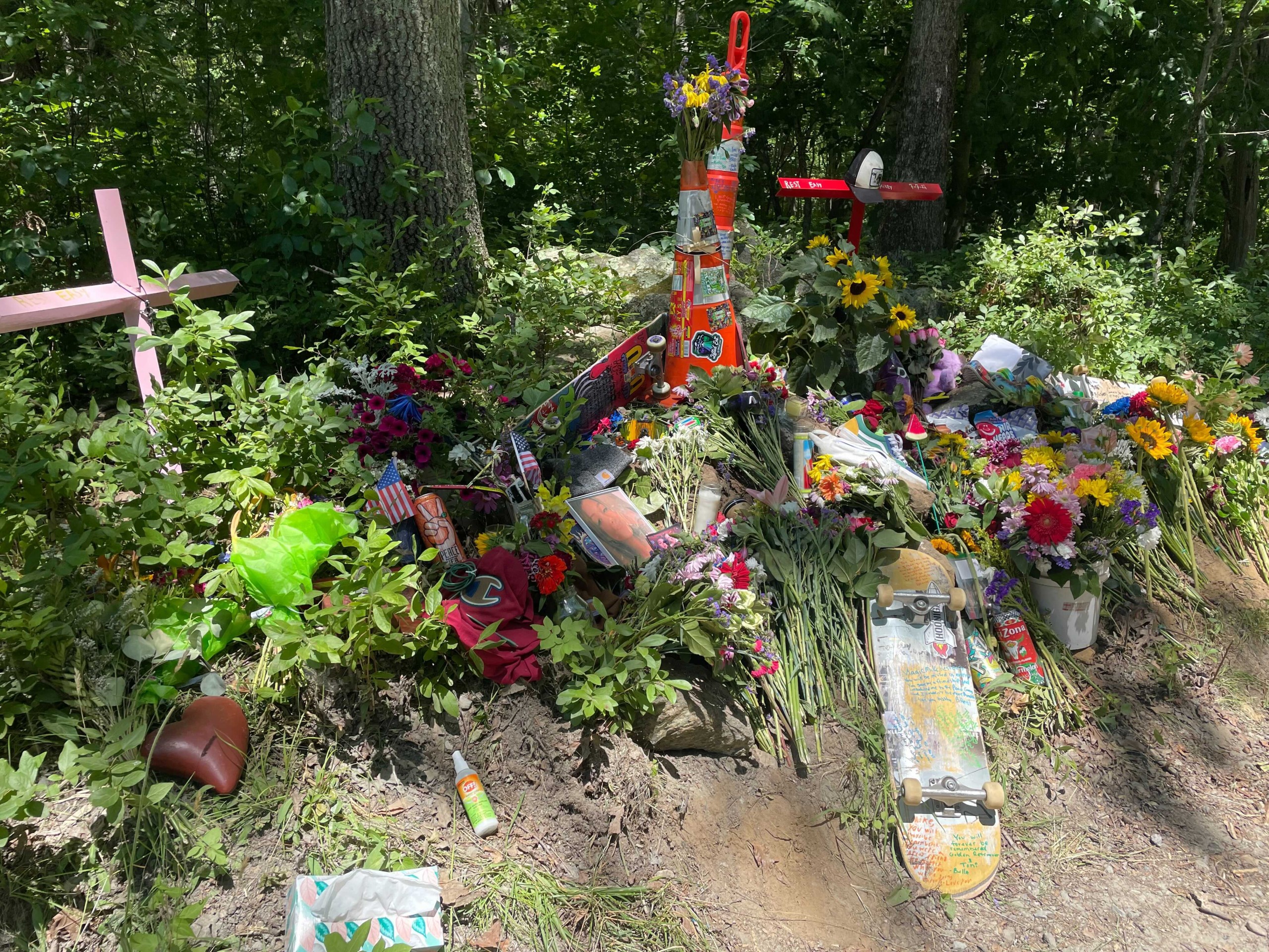 Police identify 2 teens killed in Foster crash | ABC6