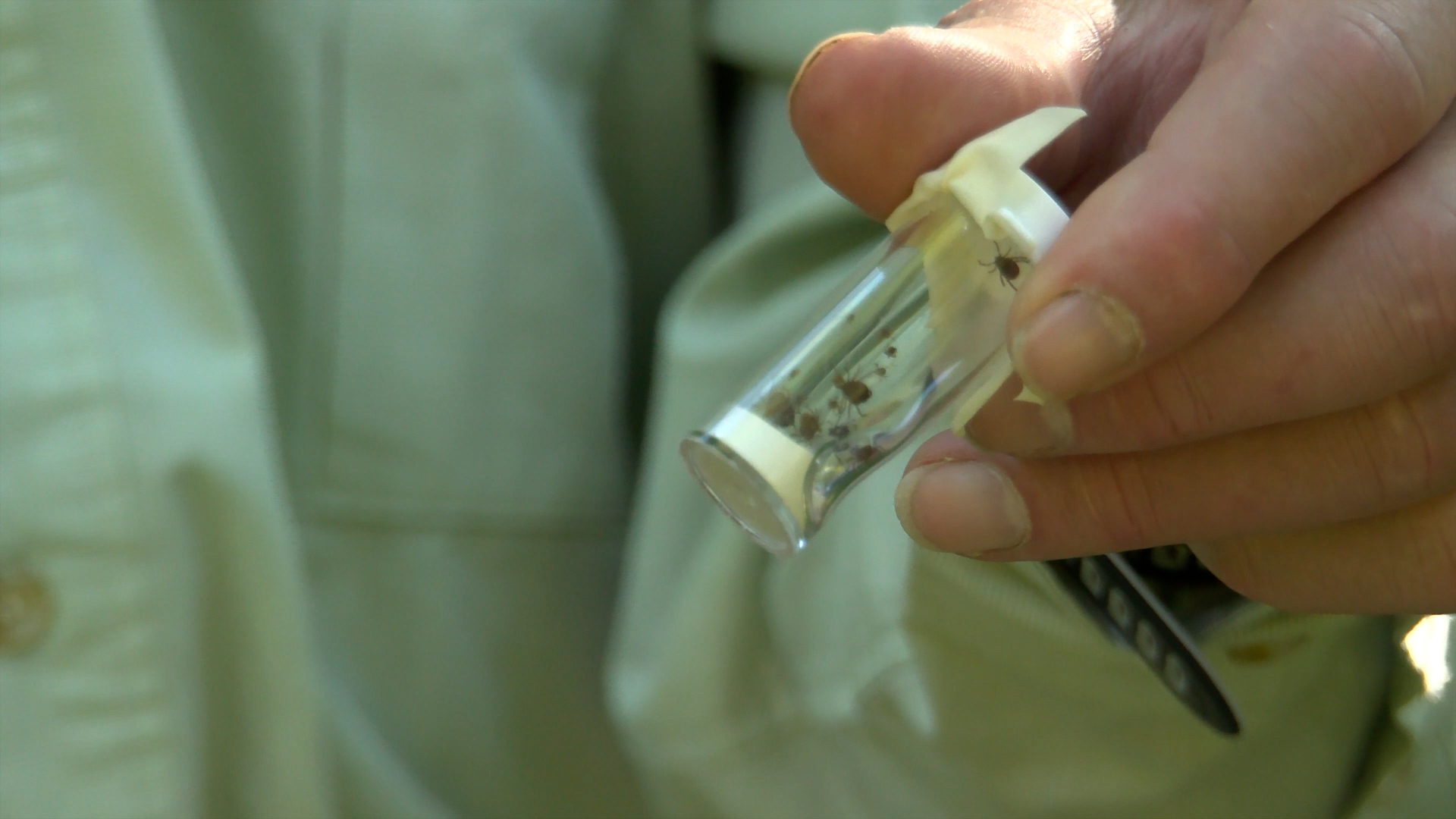 URI tick information resource | ABC6