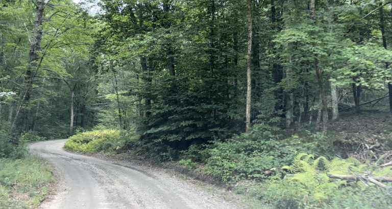 Coventry police identify victim in fatal ATV crash | ABC6 Coventry police identify victim in fatal ATV crash | ABC6