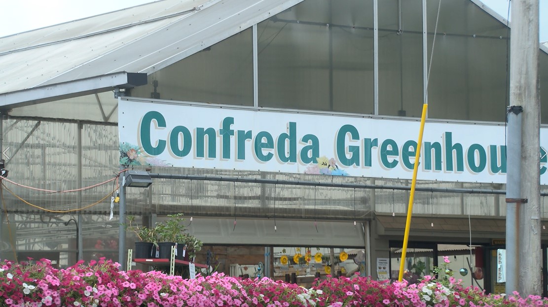 Rhode Island farmers could soon get drought relief | ABC6