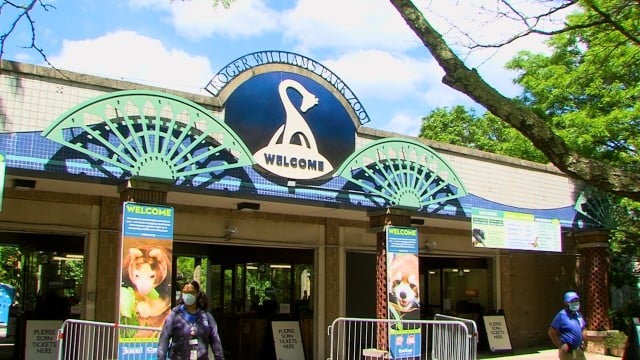 DCYF to host 'Night at the Zoo' event to celebrate foster families | ABC6