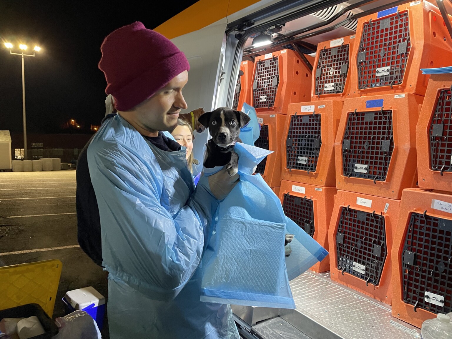 Northeast Animal Shelter: Dozens of furry friends looking for forever ...