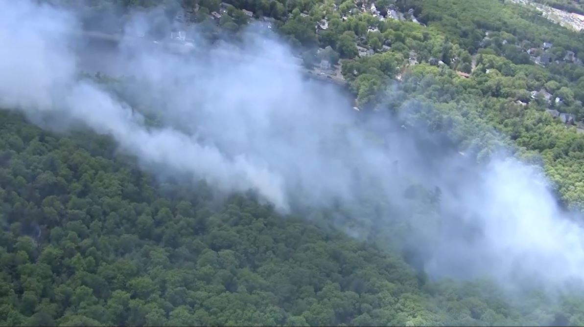 8 fires set in Lynn Woods Reservation being investigated as arson | ABC6