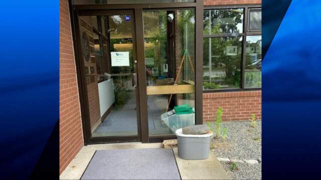 Rhode Island SPCA asks public not to abandon animals at shelter after cat found inside litter ...