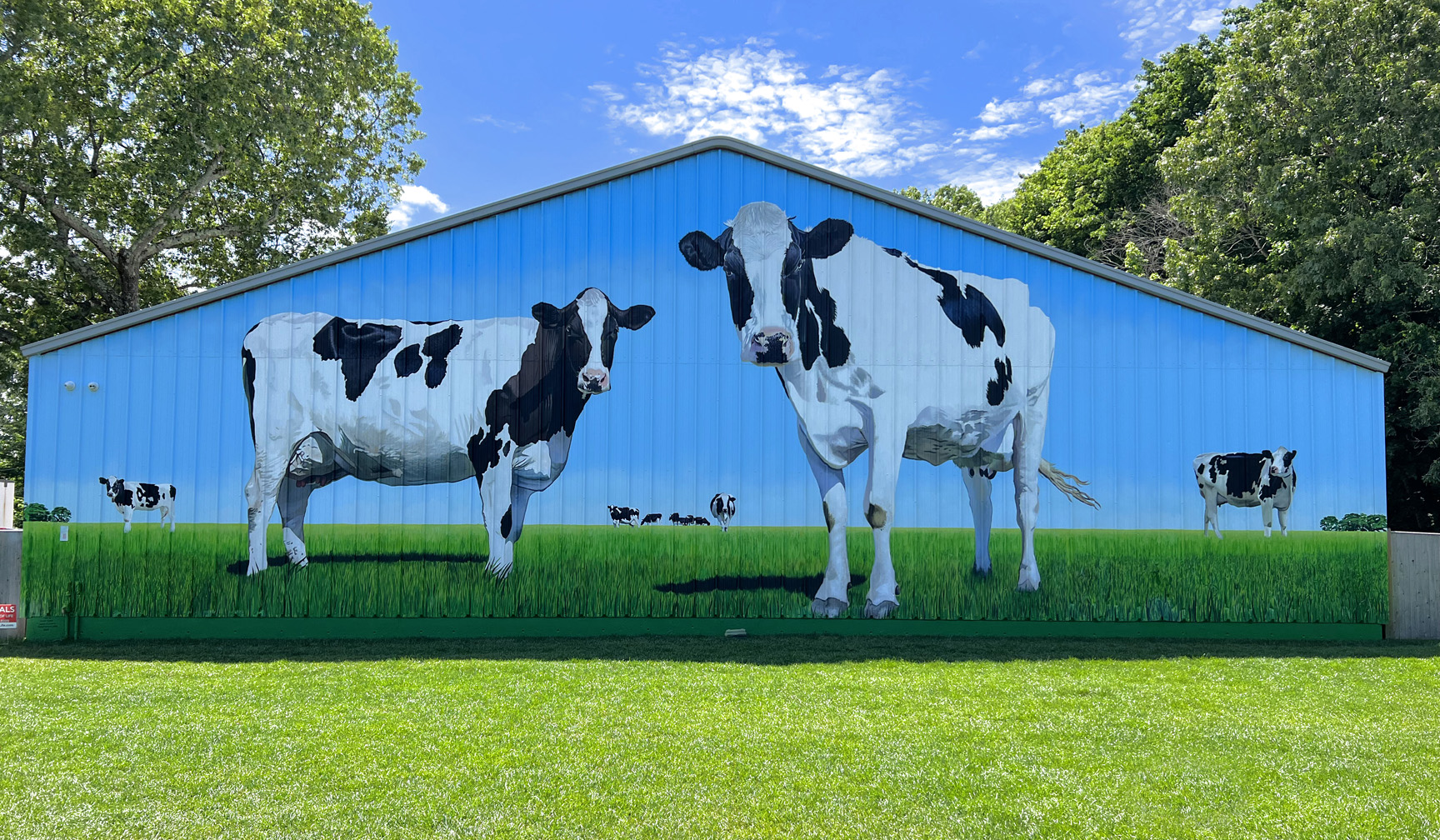 Bliss reveals completed murals at historic ice cream shop | ABC6