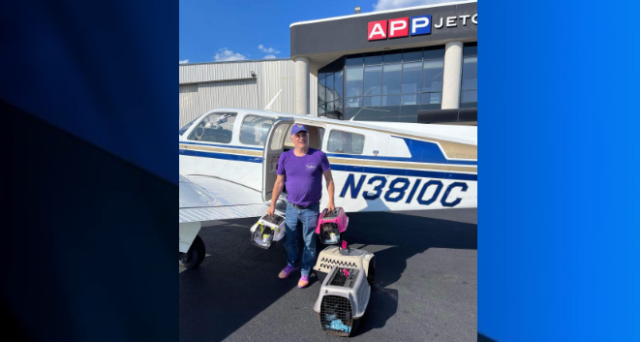 Animal Rescue Rhode Island, National Guard team up to rescue 18 cats ...