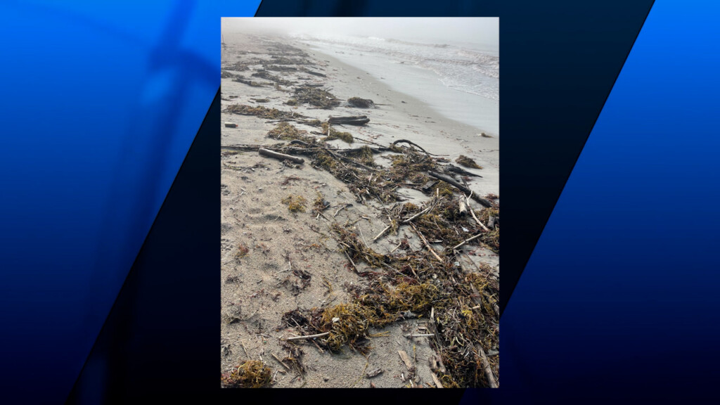 Needles found on shoreline at East Matunuck | ABC6
