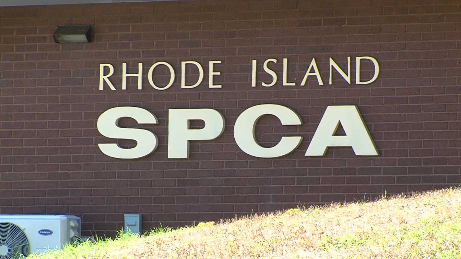 Rhode Island SPCA to unveil facilities at new location in Warwick | ABC6