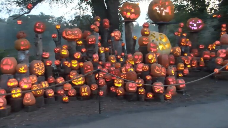 Roger Williams Park Zoo's 'Jack-O-Lantern Spectacular' returns | ABC6