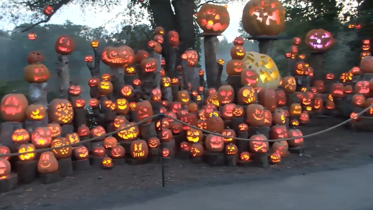 Jack-O-Lantern Spectacular returns to Roger Williams Zoo | ABC6