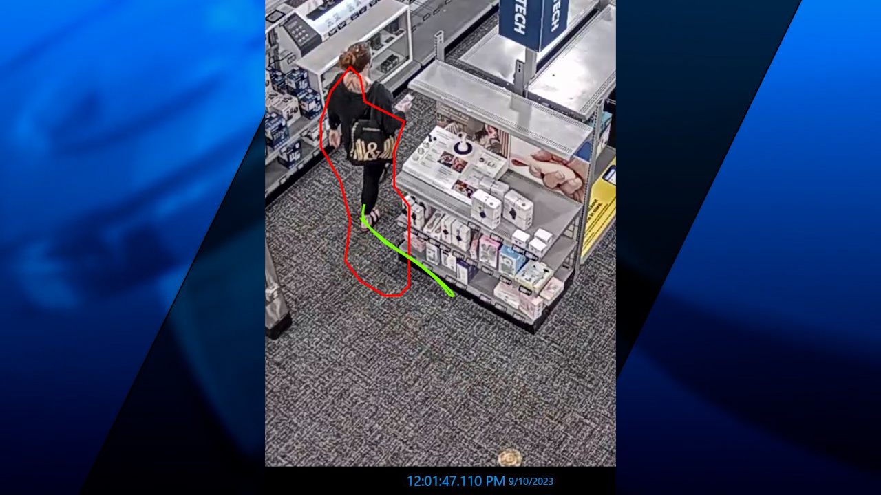 Warwick police search for woman accused in theft at Best Buy store | ABC6