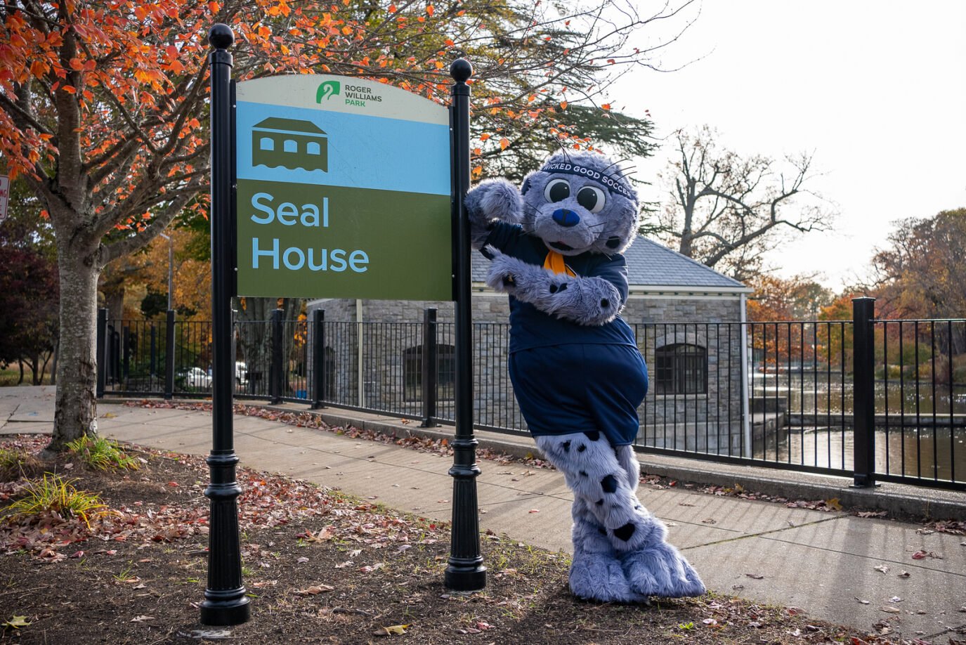Meet Chip the harbor seal, official Rhode Island FC mascot | ABC6