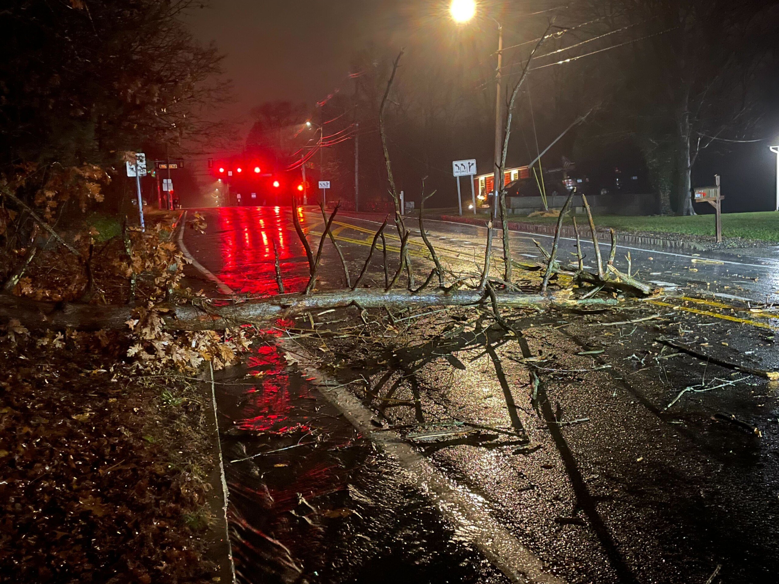 Heavy rain and winds cause downed branches, flooding early Monday | ABC6