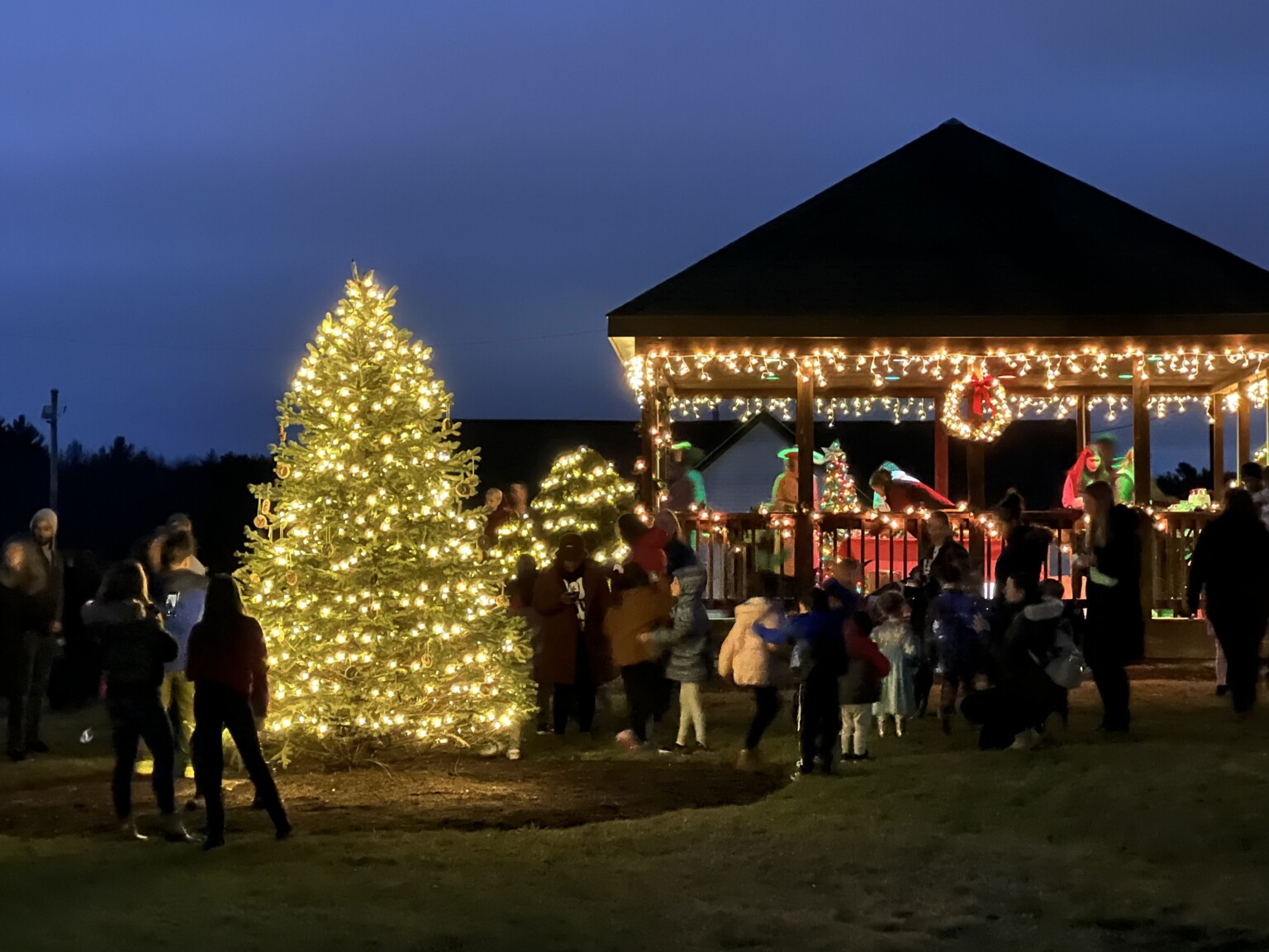 Raynham lights town Christmas tree | ABC6