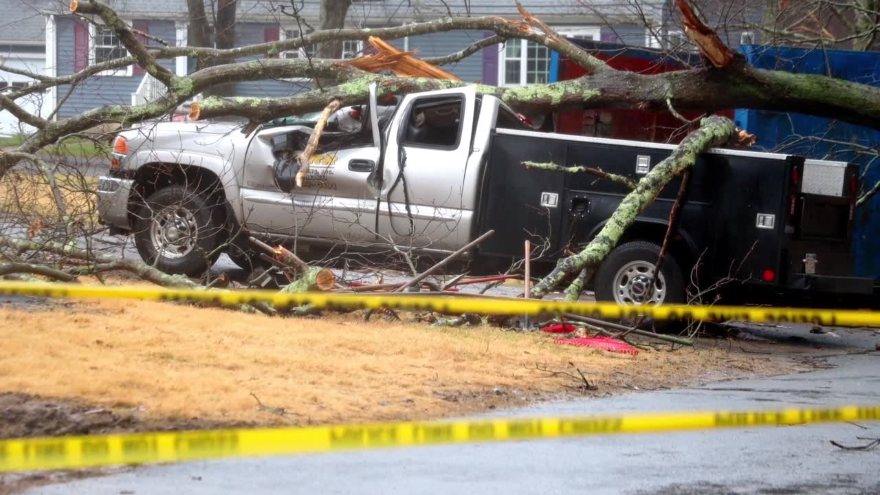 First responders rescue man trapped in truck crushed by tree amid ...
