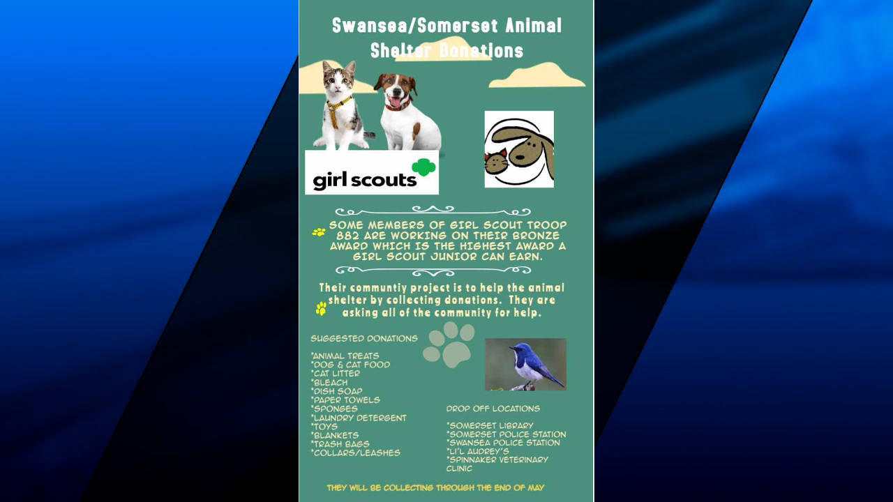 Girl Scouts collecting donations for Swansea/Somerset Animal Shelter | ABC6