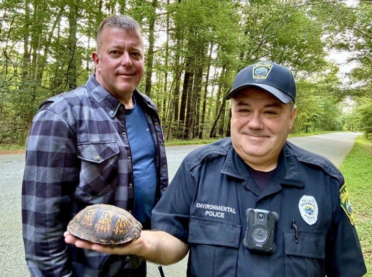 Fall River Police remind residents to look out for turtles on the road ...