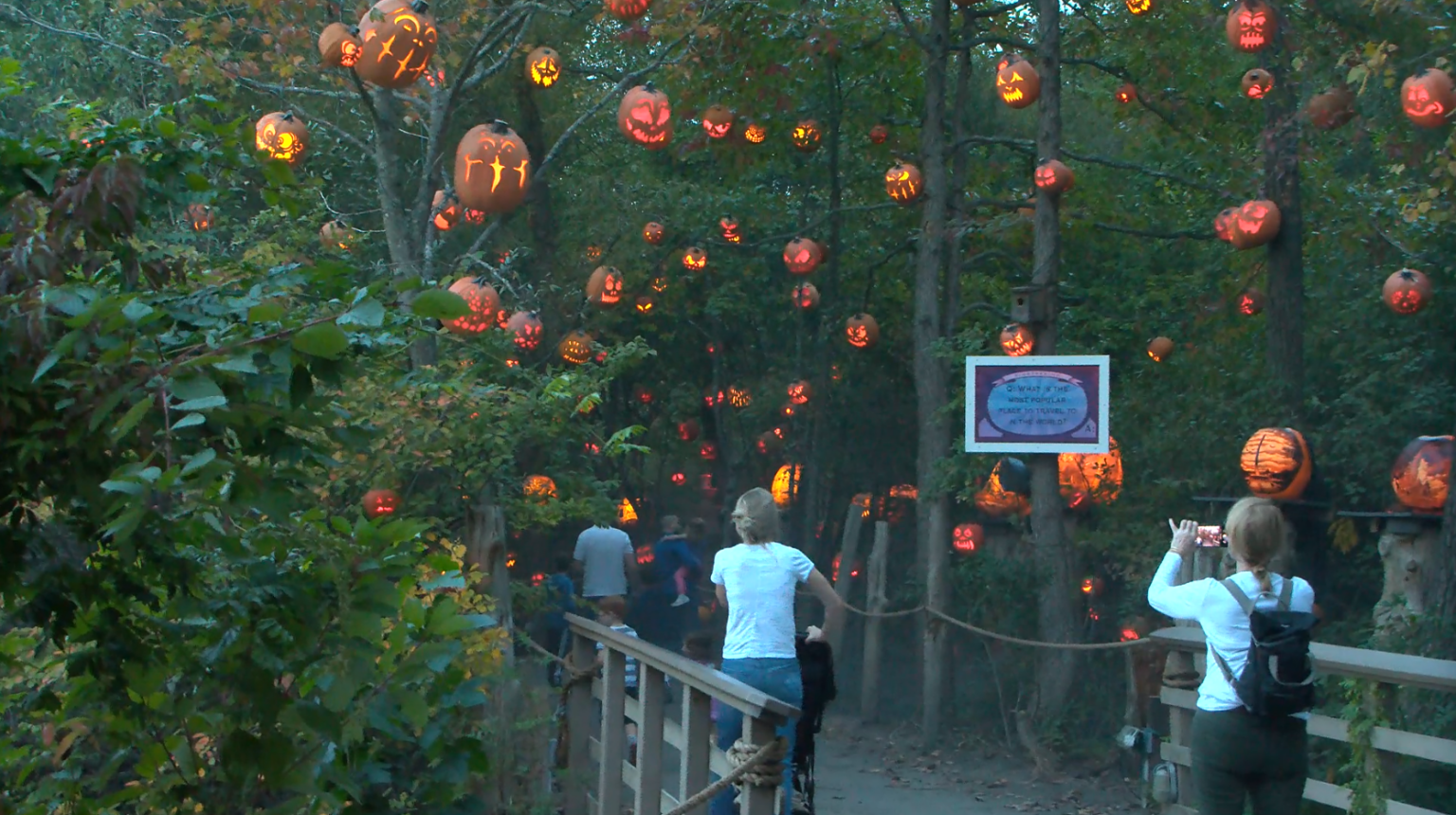 Jack-O-Lantern Spectacular returns to Roger Williams Park | ABC6