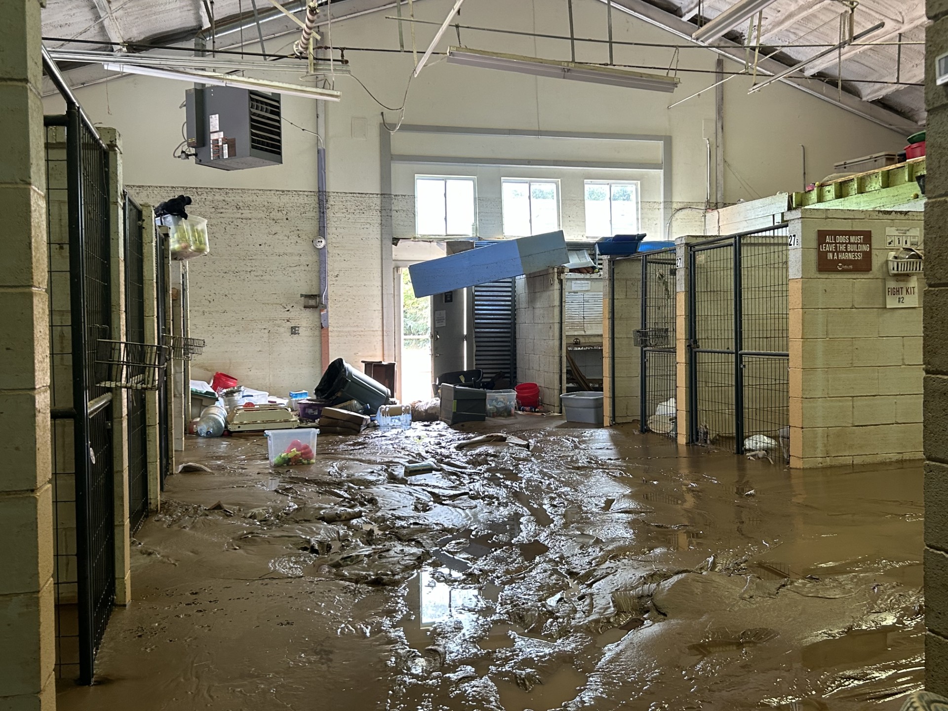 MSPCA helping animals after Hurricane Helene | ABC6