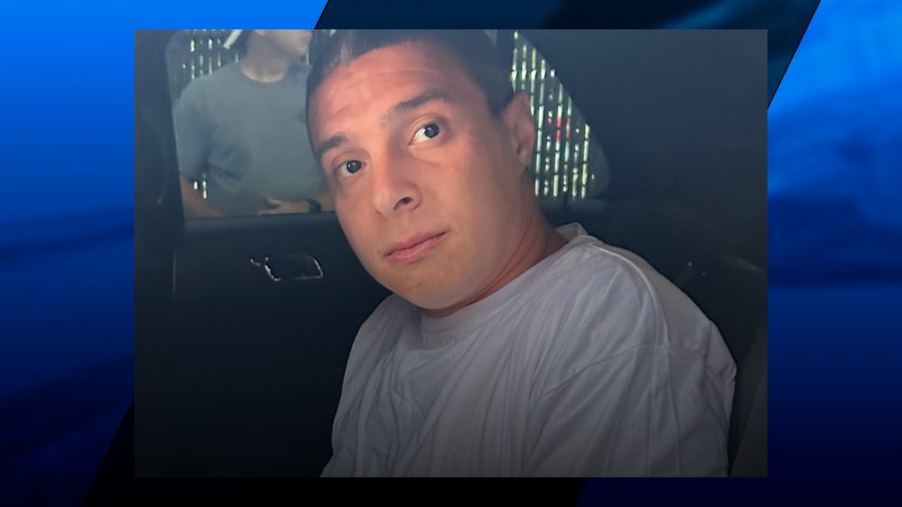 ICE arrests Brazilian national convicted of child molestation in ...