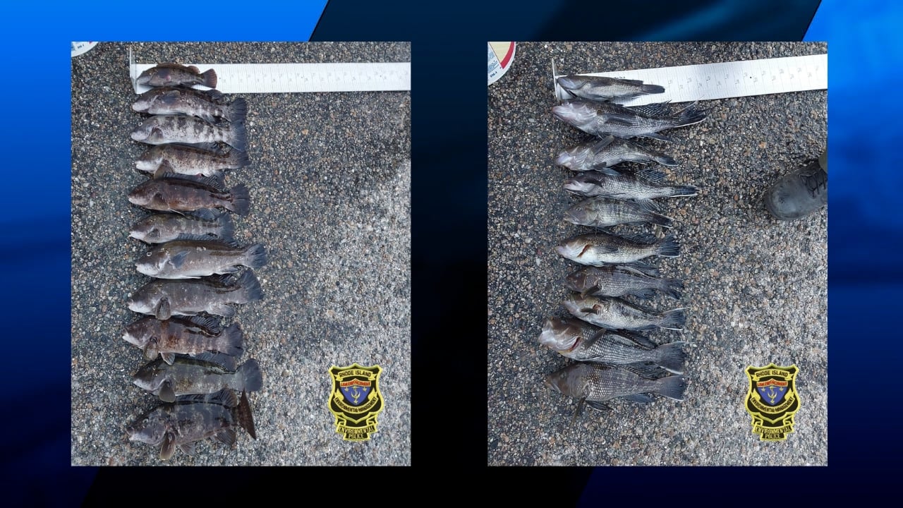 RIDEM officers seize 69 fish from 3 Mass. men in Newport | ABC6