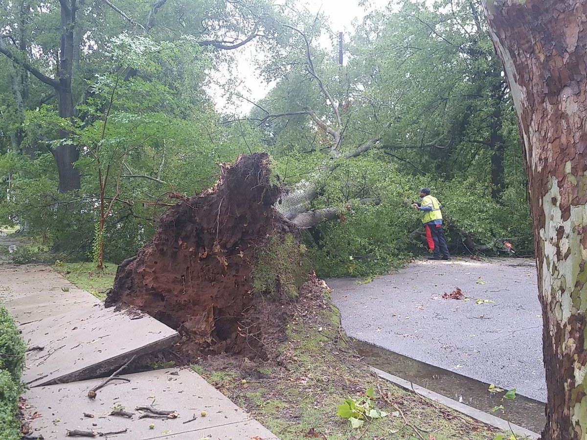Midlands Damage from Hurricane Mathew: Downed Trees, Power Outages ...
