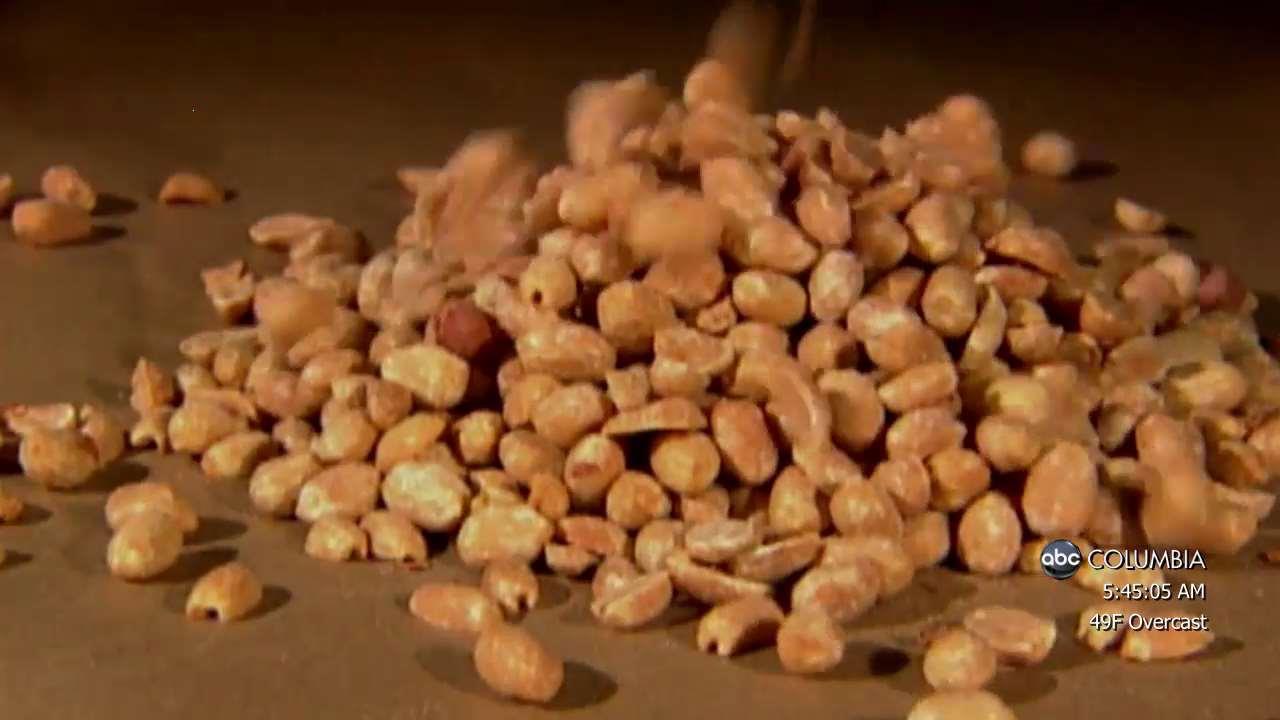 New-Recommendations-for-Testing-Peanut-Allergies-image - ABC Columbia