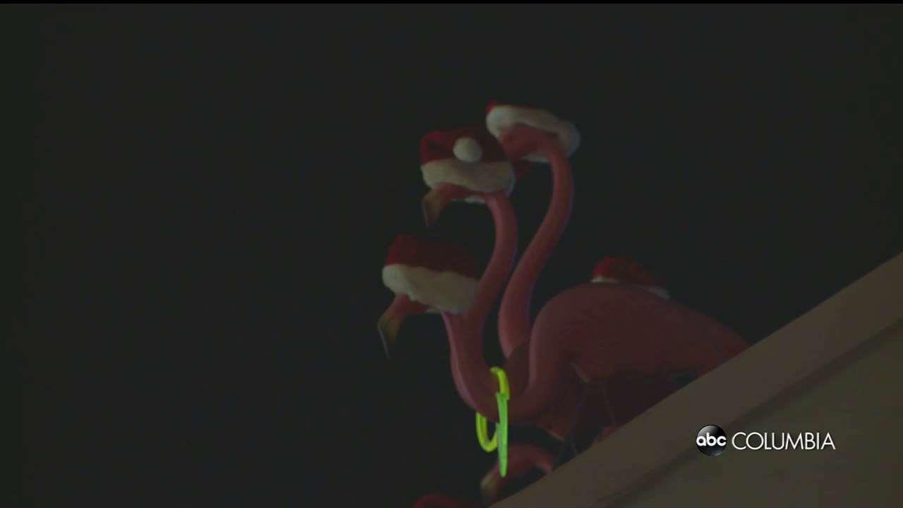Vista Lights: Sights & Sounds - ABC Columbia