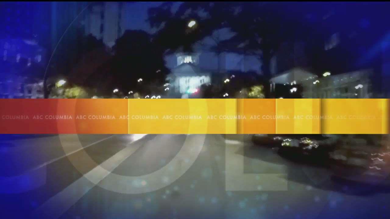 SC News Anchor and Photojournalist Killed, Tree falls on SUV - ABC Columbia