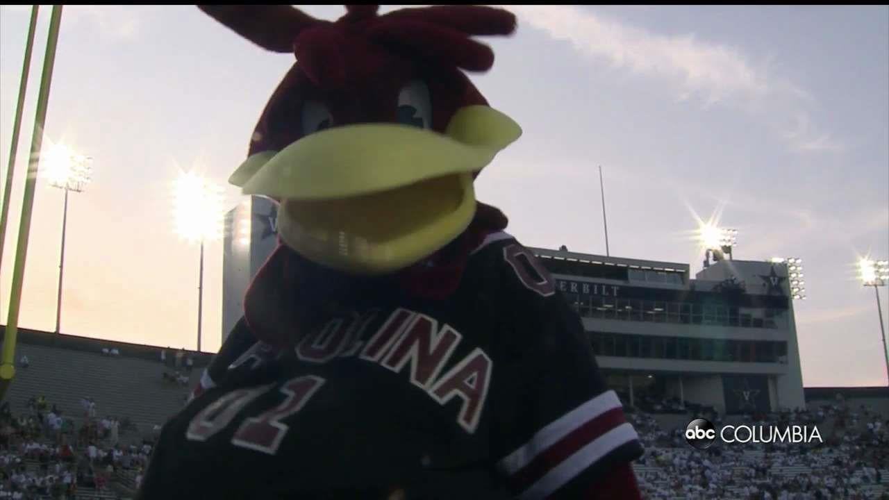 Who Is The Man Behind The First Classic Cocky Costume? - ABC Columbia