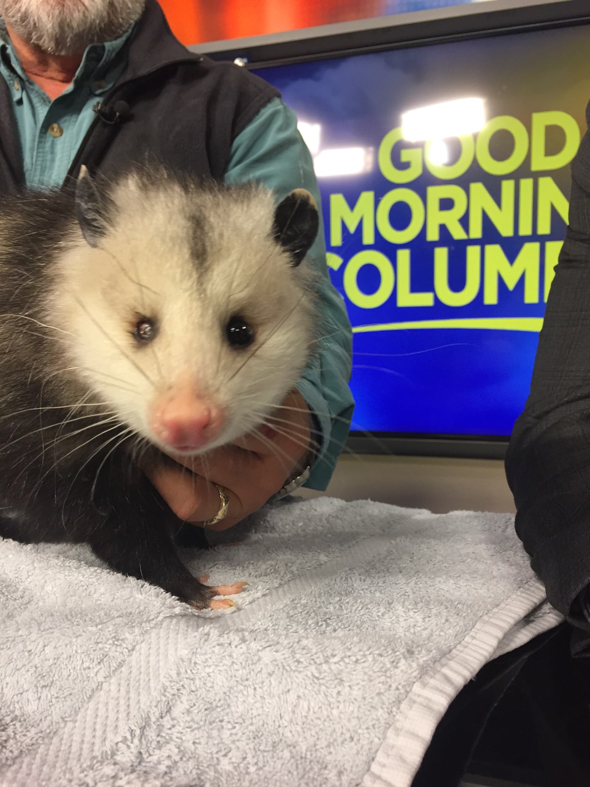 Wild Wednesday Jay Coles from the Carolina Wildlife Center possum talk