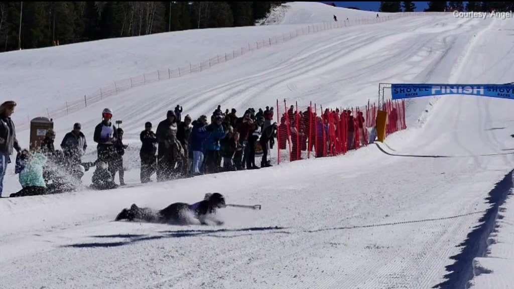 Adrenaline-junkies race down mountain on shovels in New Mexico - ABC ...