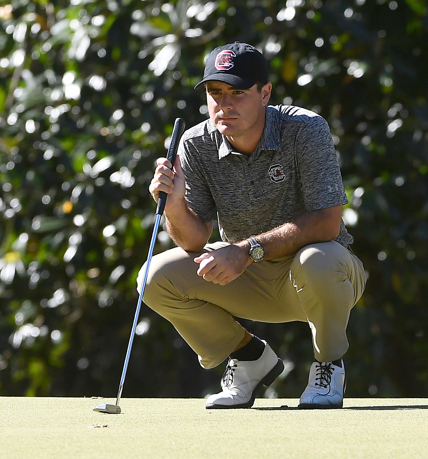 Gamecocks hire new men's golf assistant - ABC Columbia